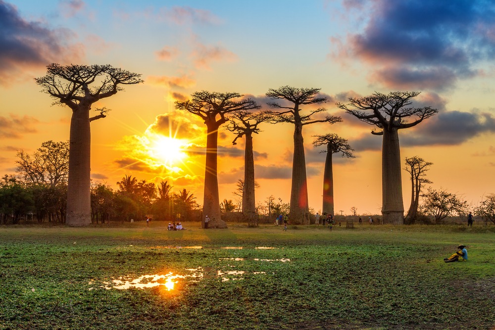 5 bonnes raisons de partir en voyage à Madagascar - Détours Madagascar ... 5 bonnes raisons de partir en voyage à Madagascar - Détours Madagascar ...